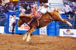 PRCA ProRodeo Kicks Off at Greeley Stampede: Latest Highlights, Events ...
