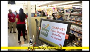 Ohio SNAP Benefits November 2025: Important Update for Recipients ...