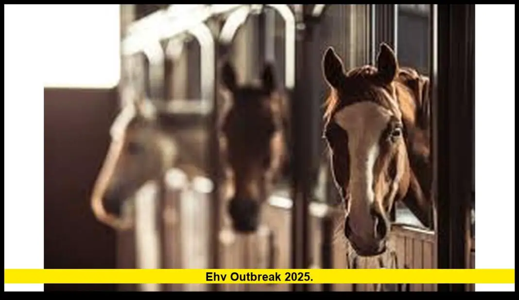 EHV Outbreak 2025: U.S. Horse Industry Faces New Threat from Equine ...