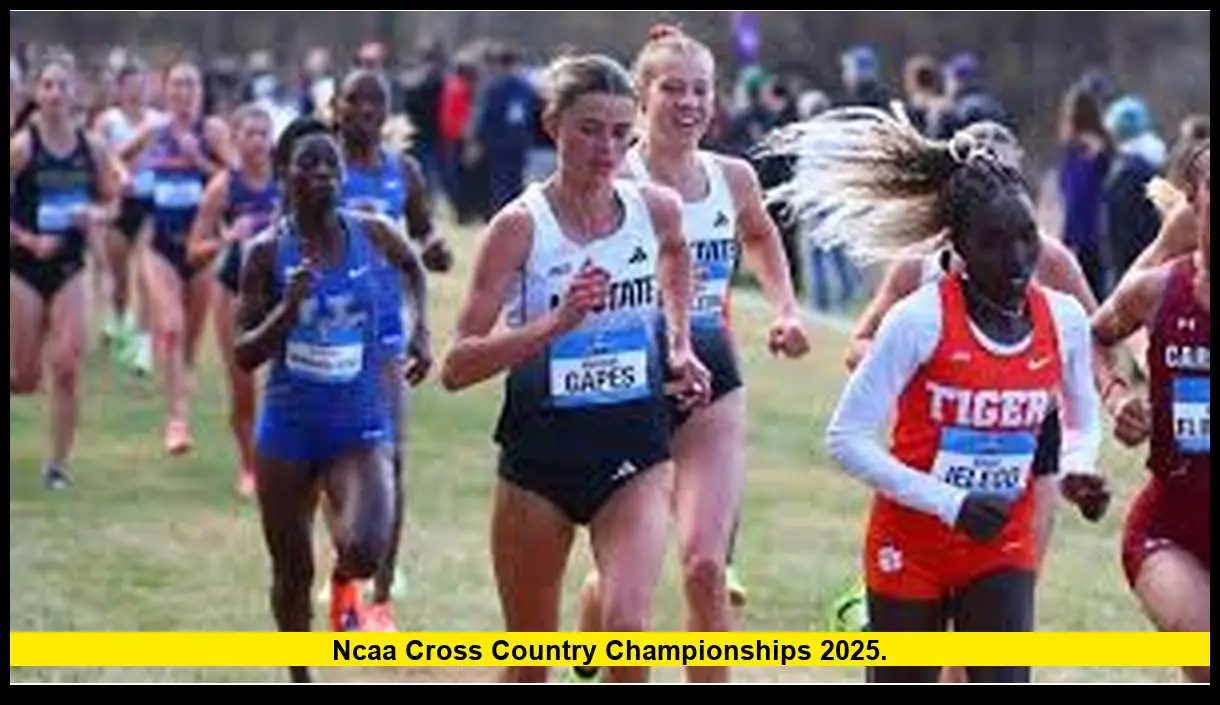 NCAA Cross Country Championships 2025: NC State’s Women Triumph as Gans ...