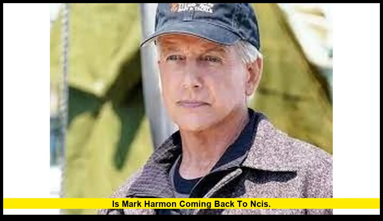 Is Mark Harmon Coming Back to NCIS? The Truth About Gibbs’ Long-Awaited Return