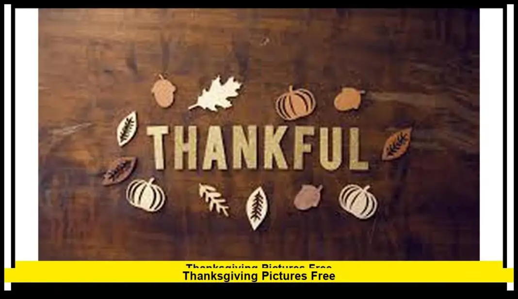 Wednesday Before Thanksgiving Meme: How the Internet Celebrates the ...