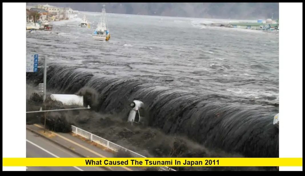 What Caused the Tsunami in Japan 2011: The Facts Behind the Disaster