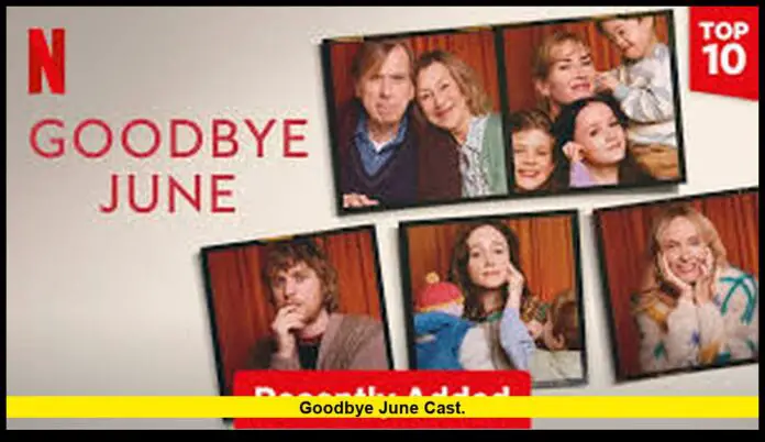 Goodbye June Cast: Inside the Ensemble of Netflix’s 2025 Holiday Drama