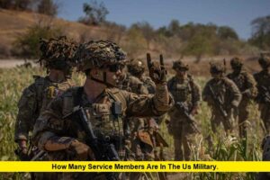 How Many Service Members Are in the US Military in 2025? The Verified ...