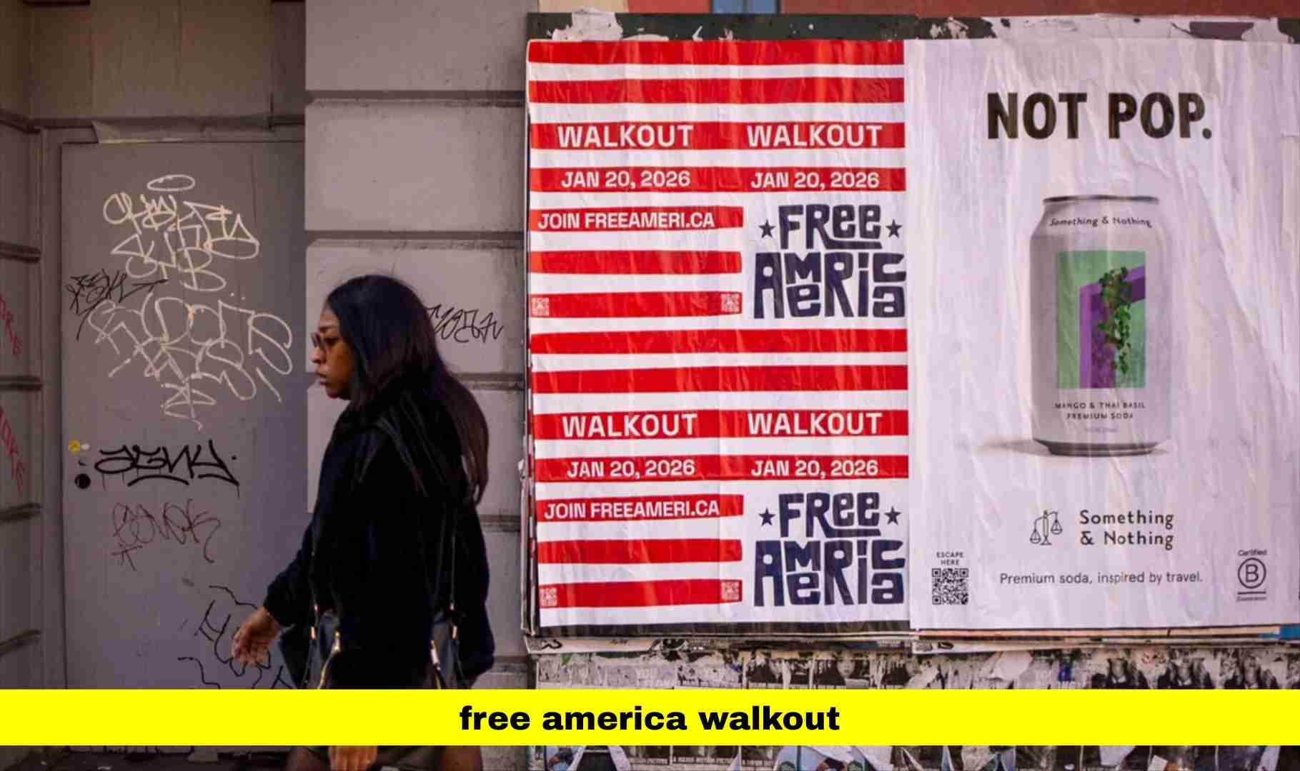 Understanding the Nationwide Movement: The free america walkout and Its ...