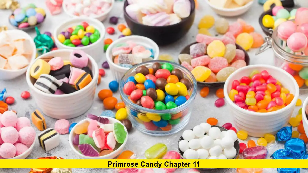 Chicago Confectioner’s Strategic Shift After Filing Primrose Candy ...