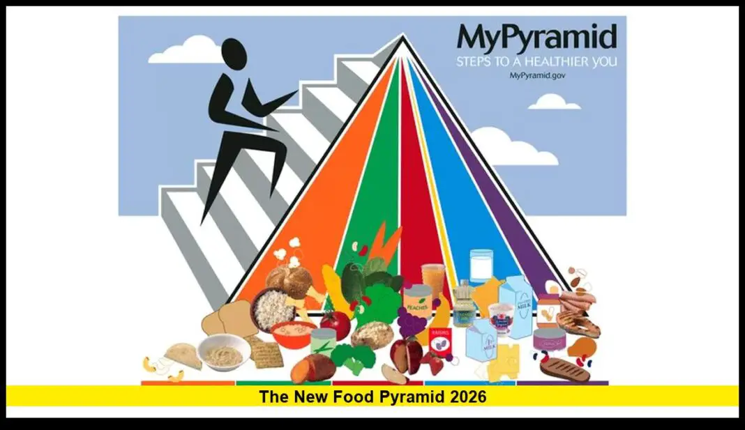 The New Food Pyramid 2026: A Modern Blueprint for America’s Nutrition ...