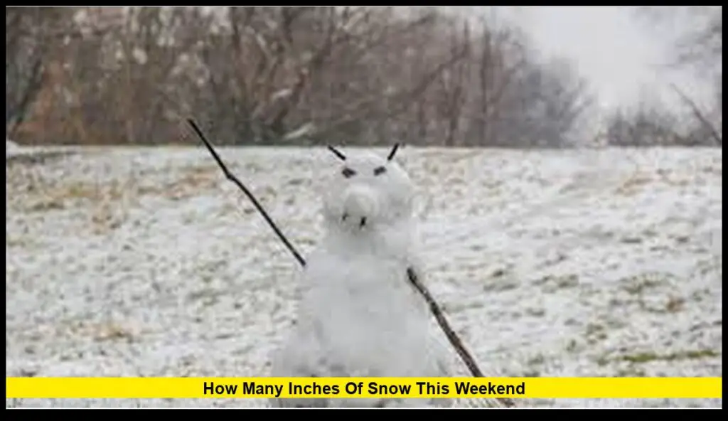 How Many Inches of Snow This Weekend? Major U.S. Winter Storm Brings ...