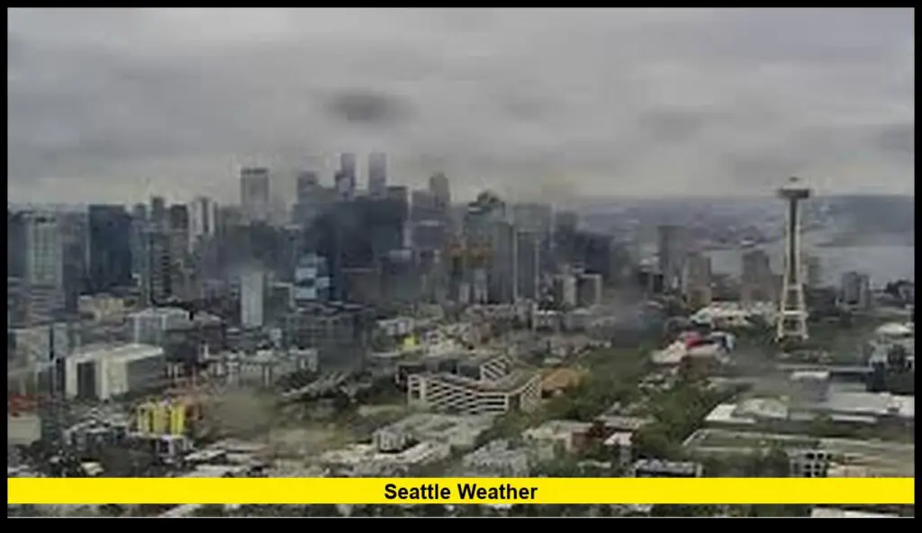 Seattle Weather Shifts in Late January: Dry Skies, Mild Days, and a ...