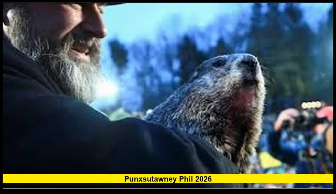 Punxsutawney Phil 2026: What Happened at Groundhog Day and What It ...