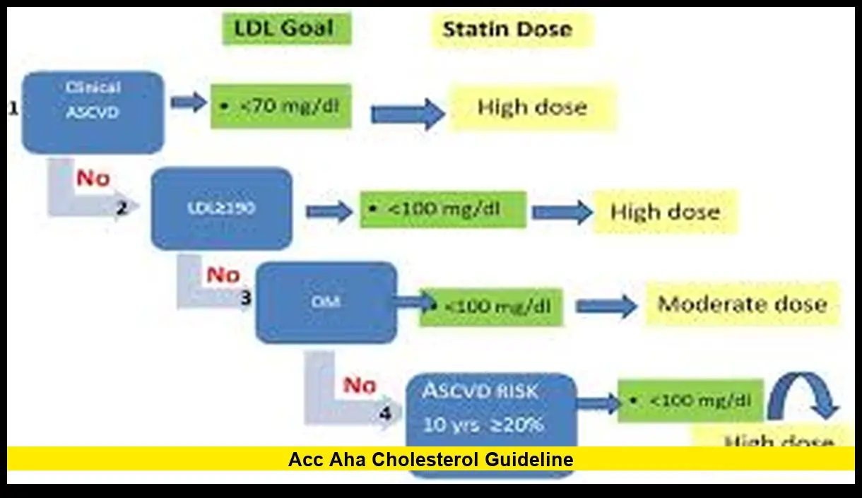 ACC AHA Cholesterol Guidelines: Current Recommendations for Managing ...