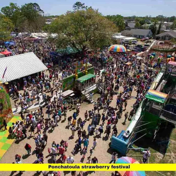 Ponchatoula Strawberry Festival 2026: A Complete Guide to Louisiana’s ...