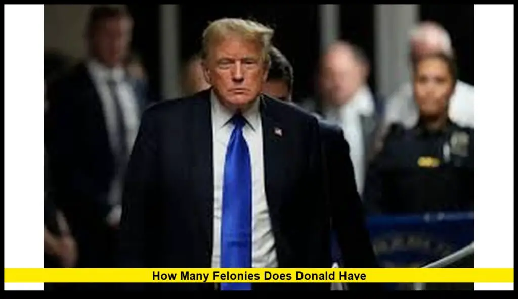 How Many Felonies Does Donald Have? The Full Count, What It Means, and ...