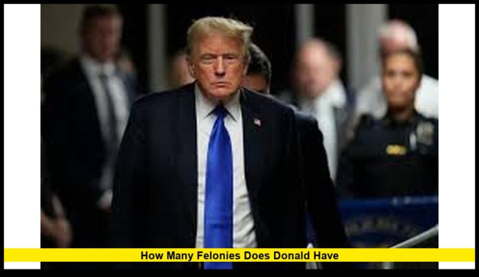 How Many Felonies Does Donald Have? The Full Count, What It Means, and ...