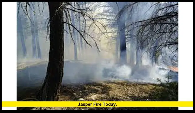 Jasper Fire Today: Latest Verified Updates on Recovery, Wildfire ...