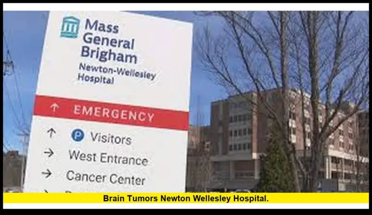 Brain Tumors Newton Wellesley Hospital: Latest Confirmed Updates on the ...