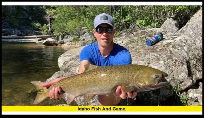 Idaho Fish and Game in 2026: Latest Wildlife, Fishing, Hunting, and ...