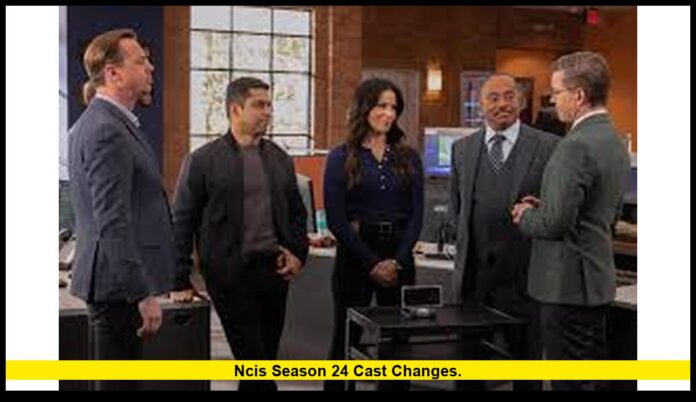 NCIS Season 24 Cast Changes: Every Confirmed Exit, Return, and Major ...