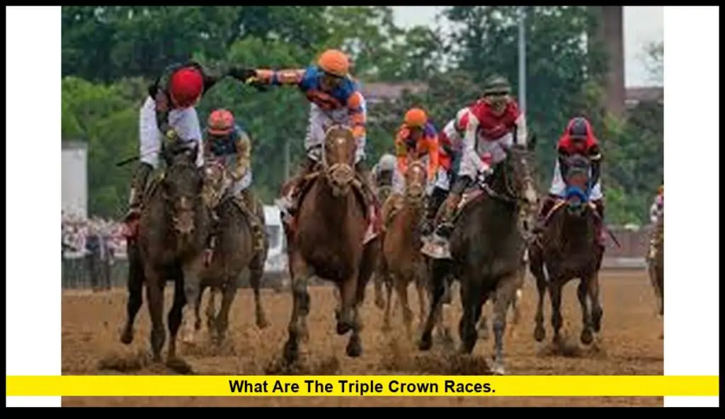 What Are the Triple Crown Races? A Complete Guide to Horse Racing’s ...