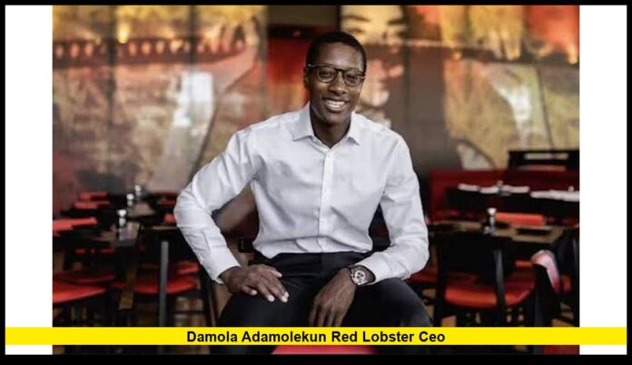 Damola Adamolekun Red Lobster CEO Sparks Turnaround Buzz as Seafood ...