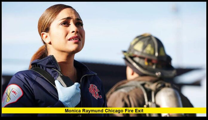 Monica Raymund Chicago Fire Exit: The Real Story Behind Gabby Dawson’s ...