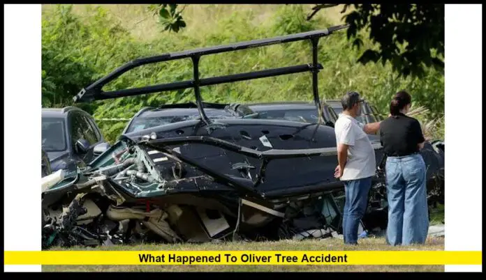 What Happened to Oliver Tree Accident? New Details Emerge After Tragic ...